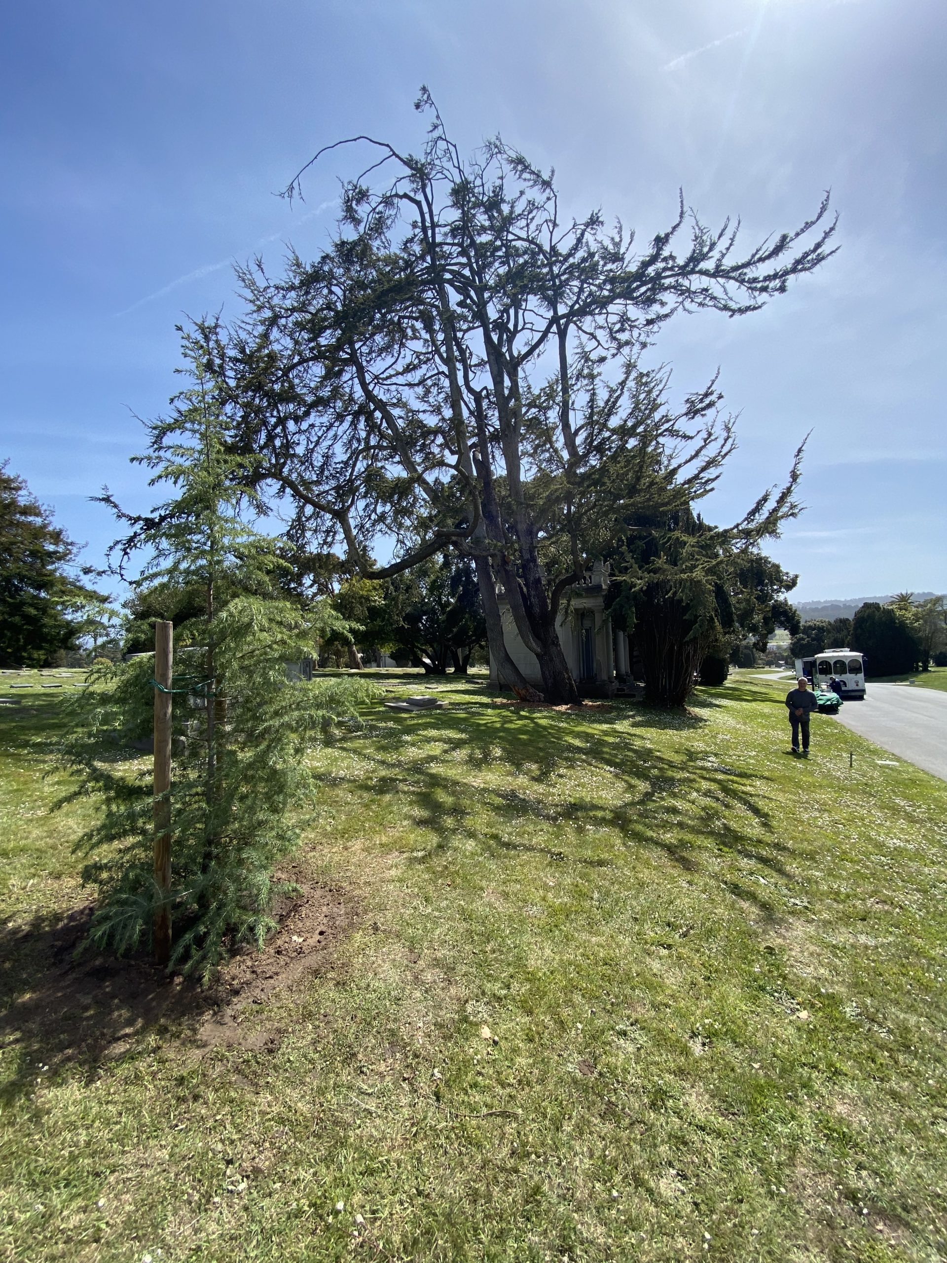 Arboretum Day 2022: Companion Trees and the Arboretum Heritage Project ...